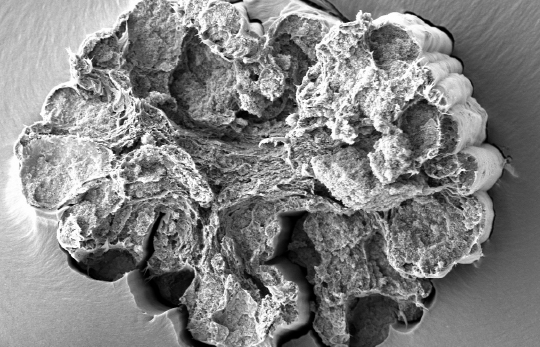 Lightweight Insulation