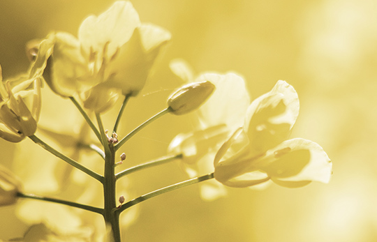 Temperature Regulating Fabric for Ultimate Comfort | Outlast